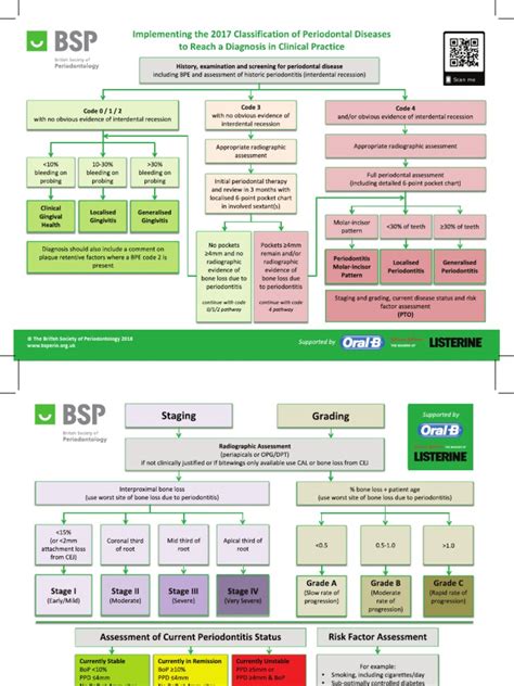 Bsp Flowchart Pdf