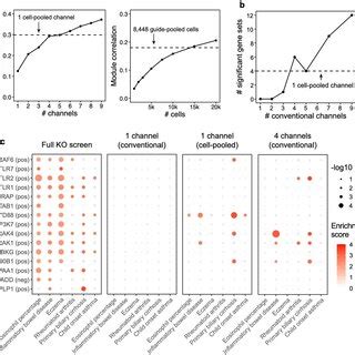 Additional Analyses Comparing Compressed Versus Conventional Download Scientific Diagram