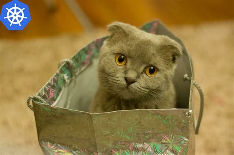 Managing Orphaned Resources In Kubernetes Overcast Blog