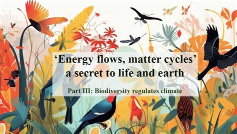 Ecosystems And Climate As Complex Dissipative Structures Rcomplexityetc