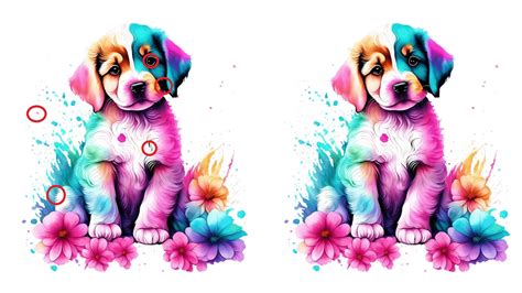 Фото загадка дня про 5 отличий на картинке интересная и короткая головоломка с ответом для