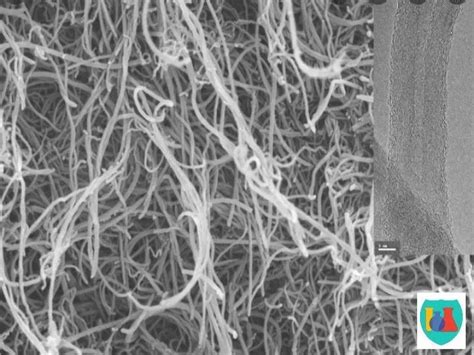 Titanium Carbon Nanotubes At ₹ 50 Gram Carbon Nanotube In Kurukshetra Id 27088948312