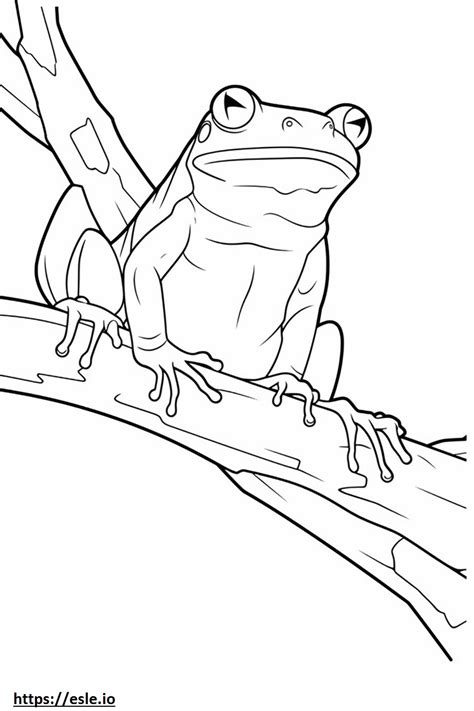 Gray Tree Frog Cute Coloring Page