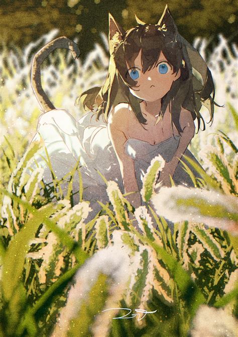 Cat Tail Dress Animal Ears Cat Girl Cat Ears Hd Phone Wallpaper