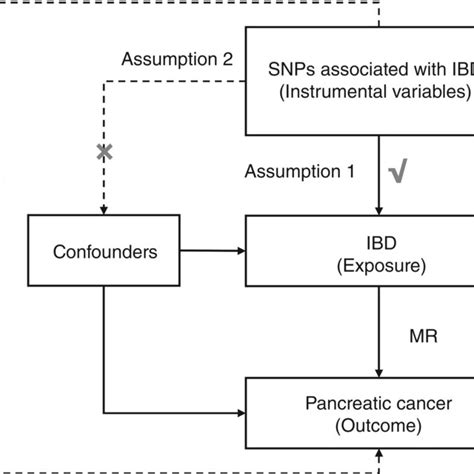 Example Of Two‐sample Mr Analysis In Evaluating The Causal Effects Of