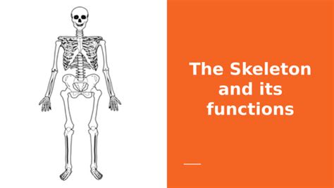 Physical Education Unit 1 Igcse Cambridge 0413 2019 2021 Teaching Resources