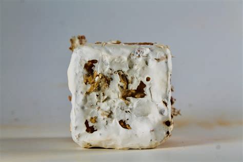 Computational Tectonics Lab Robotic Fabrication Of Architectured Mycelium Composites For