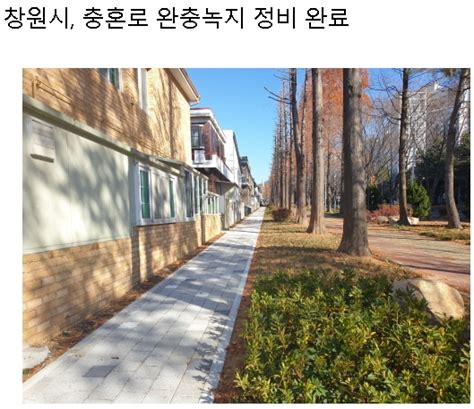 창원시 충혼로 완충녹지 정비 완료 지역뉴스 전국연합신문 창원시 충혼로 완충녹지 정비 완료 지역뉴스 전국연합신문