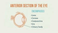 What Is The CPC Exam