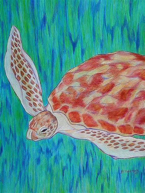 Loggerhead Sea Turtle Drawing At PaintingValley Com Explore Collection Of Loggerhead Sea