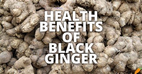 10 Potential Health Benefits Of Black Ginger