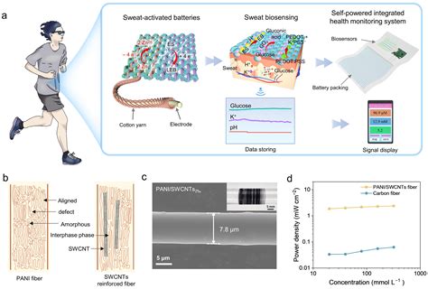 邵元龙 中文主页 首页