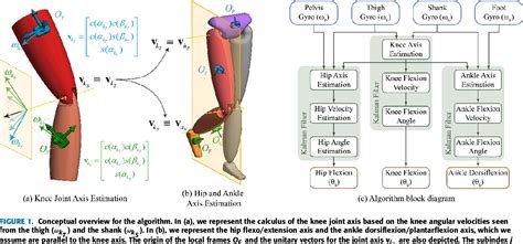 Figure 1 From An Imus Based Extended Kalman Filter To Estimate Gait
