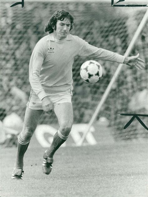 Download Pat Jennings In A 1979 Match Versus England Wallpaper