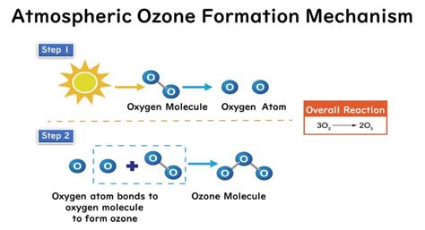 The Power Of Ozone Sterilization Introduction To Food Microbiology