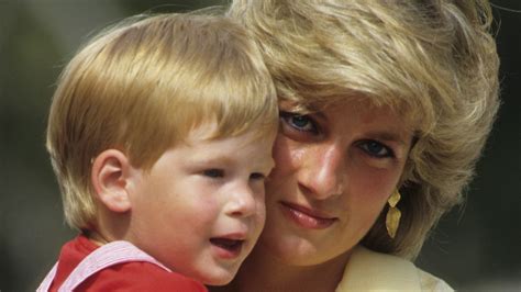 Princess Dianas Former Bodyguard Reveals How She Would Feel About