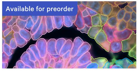 Mastering Biology To Advance Human Health 10x Genomics