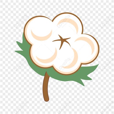 Natures Beautiful Plant Cotton Clipart Cute Cotton Beauty Green Leaf