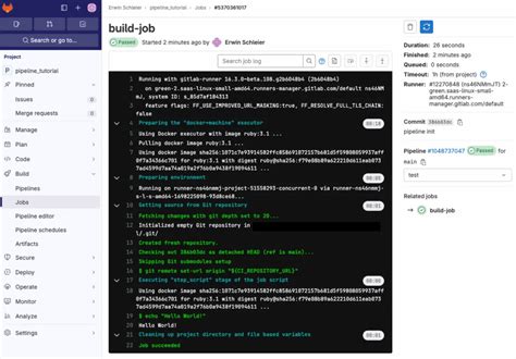 Gitlab Cicd Pipelines Erwins Blog