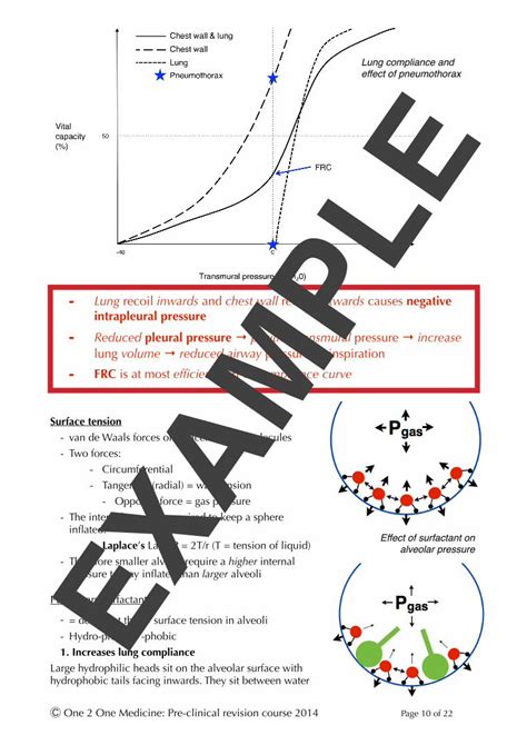 Pdf Respiratory Sample Dokumen Tips