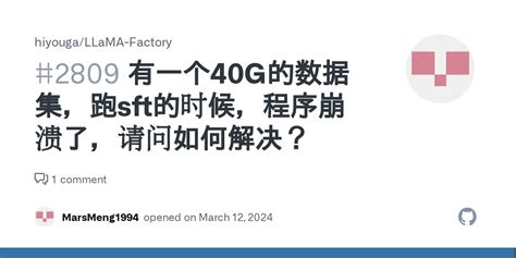 有一个40g的数据集，跑sft的时候，程序崩溃了，请问如何解决？ · Issue 2809 · Hiyougallama Factory · Github