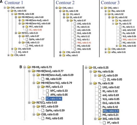 Local Anatomical Information Relating To The Gene Expression Pattern In