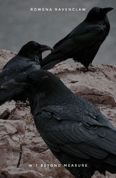 Or Yet In Wise Old Ravenclaw If Youve A Ready Tumbex