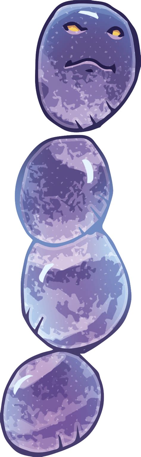 Streptococcus Pyogenes Mykrobs