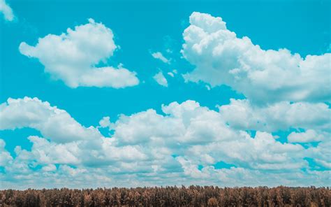 Mastering Cloud Migration