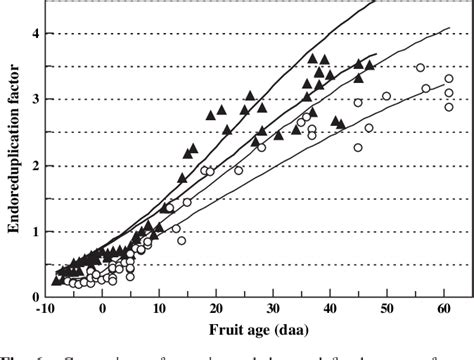 Figure 6 From A Model Describing Cell Polyploidization In Tissues Of Growing Fruit As Related To