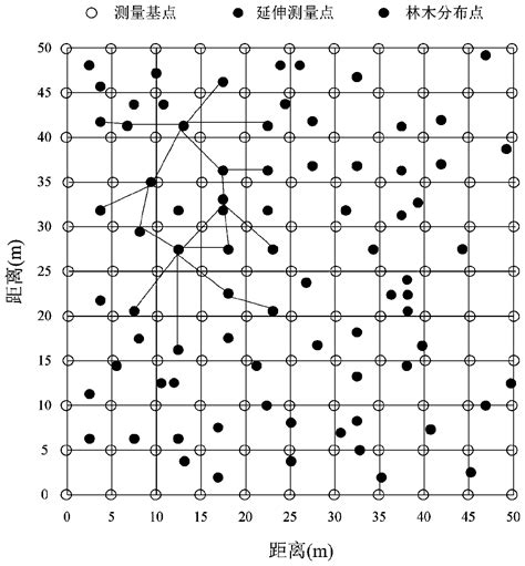 Method For Measuring Spatial Structure Of Terrain And Plant Community