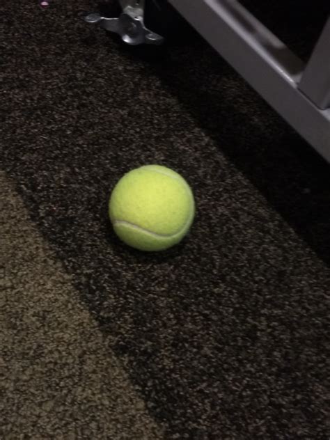 How To Use The Tennis Ball Detection Object Detection Api