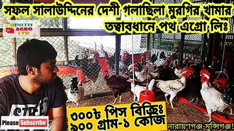 টাইগার দেশি মুরগি ও সফল উদ্দোক্তা সালাউদ্দীনের গলাছিলা মুরগির খামারঃ সফলতার সন্ধানে