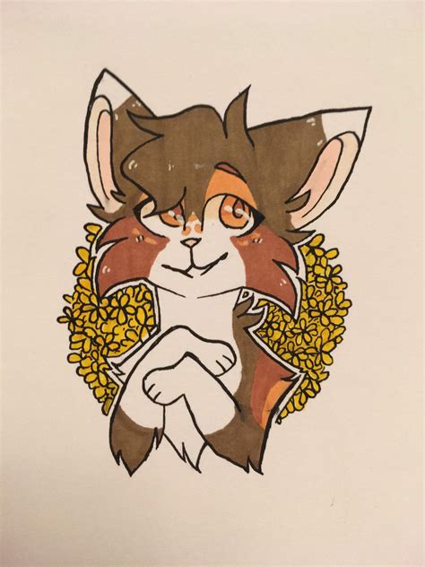 🌼 Spottedleaf Warriors Amino