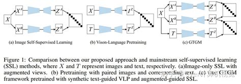 中科大提出gtgm：通用医学图像分割的生成式文本引导3d视觉语言预训练 知乎