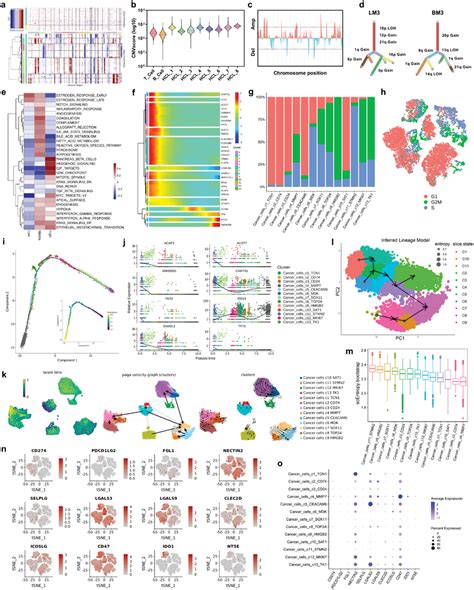 Copy Number Variation Cnv And Clonal Evolution Analysis Of Metastatic Download Scientific