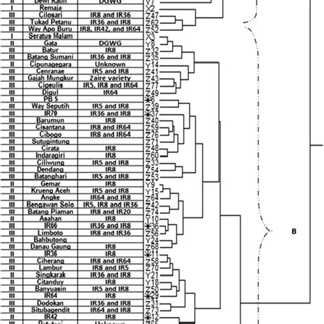 Dendrogram Using Hierarchical Method In 2009 Based On Ten Morphological
