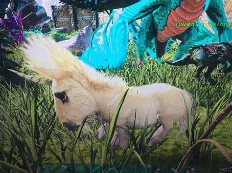 Best Chibi Ever R Ark