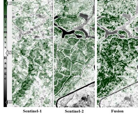 Comparison Of Biomass Sentinel 1 Sentinel2 And Fusion Download Scientific Diagram