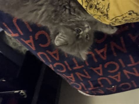 Object Battles Season 1 Tl Tier List Community Rankings Tiermaker