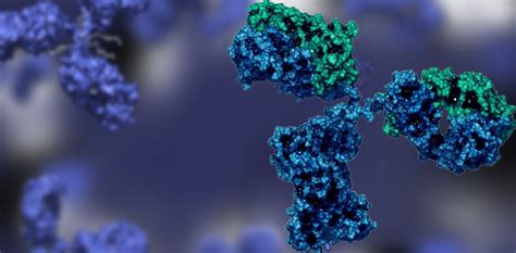 Labcast Simple And Fast Top Down Protein Characterization Using