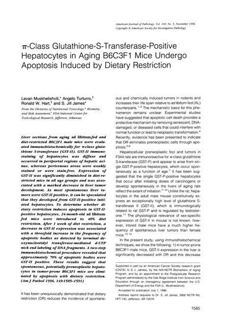 Pdf P Class Glutathione S Transferase Positive Hepatocytes In Aging
