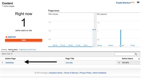 איך הספאמרים מלכלכים לכם את גוגל אנליטיקס LIXFIX