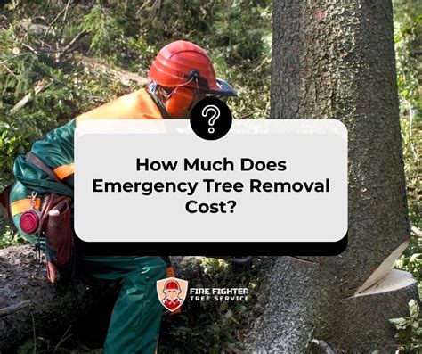 How Much Does Emergency Tree Removal Cost Firefighter Tree Service
