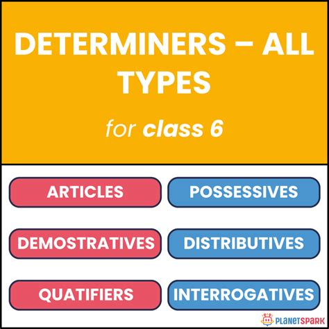 Class 6 Grammar Worksheet On Determiners Planetspark