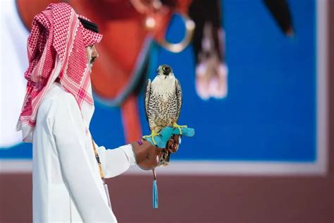 شاهين قرناس أغلى صقر في النسخة الرابعة لمزاد نادي الصقور السعودي