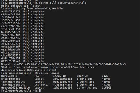 Jenkins Cicd Pipeline 5 Jenkins Ansible 연동 Ansible Playbook을 사용하여 Docker 작업을 자동화