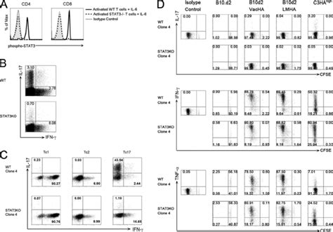 Stat3 Is Required For Tc17 Differentiation In Vitro And In Vivo A Download Scientific