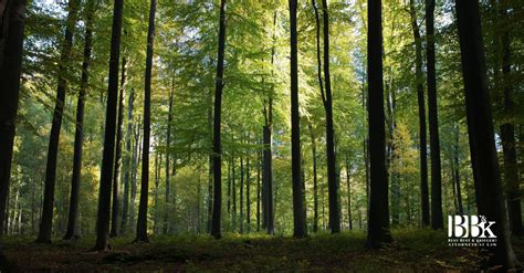 Ceqa Document Filing Fees Increase For 2023