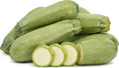 Mexican Grey Squash Information And Facts